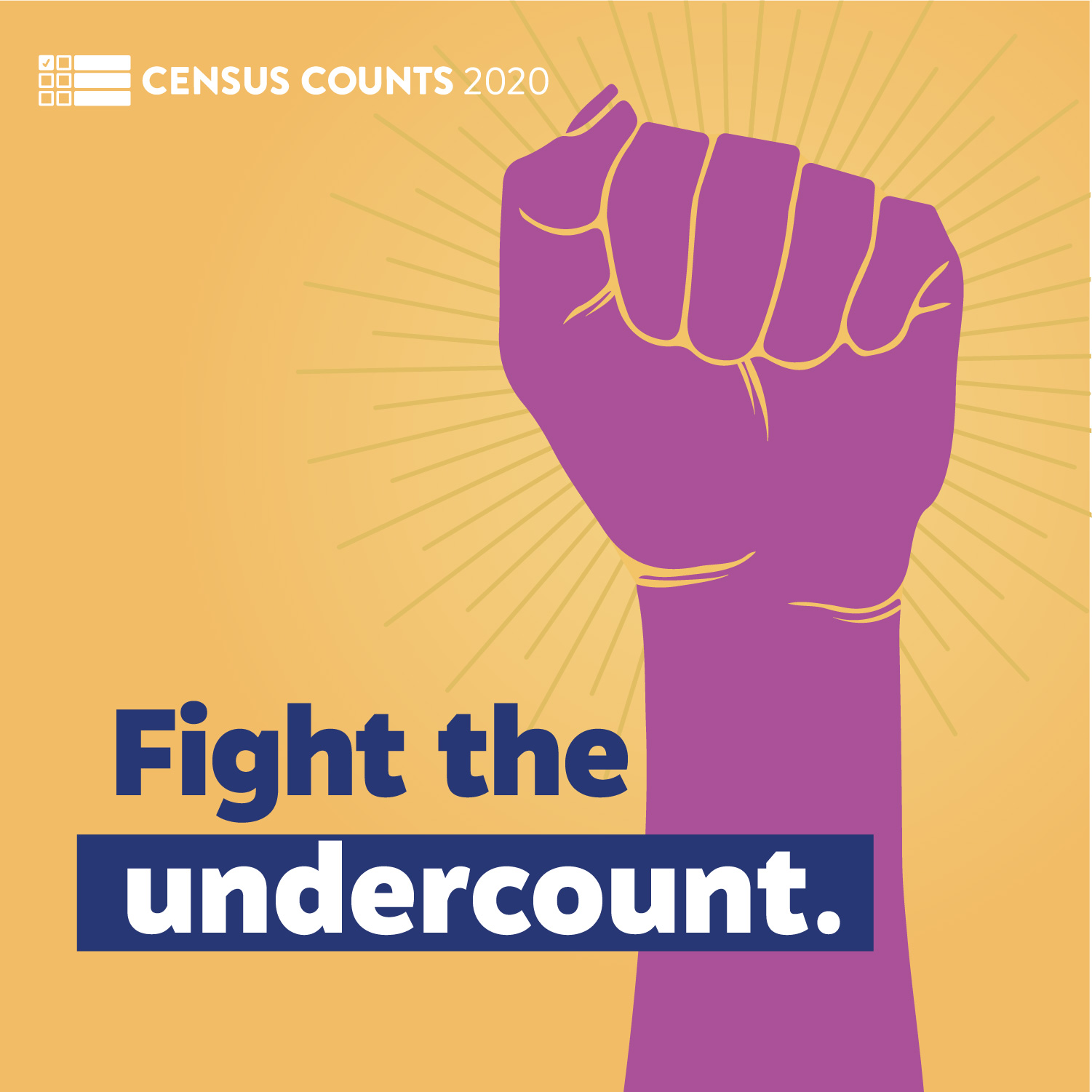 Census Social Media Graphics